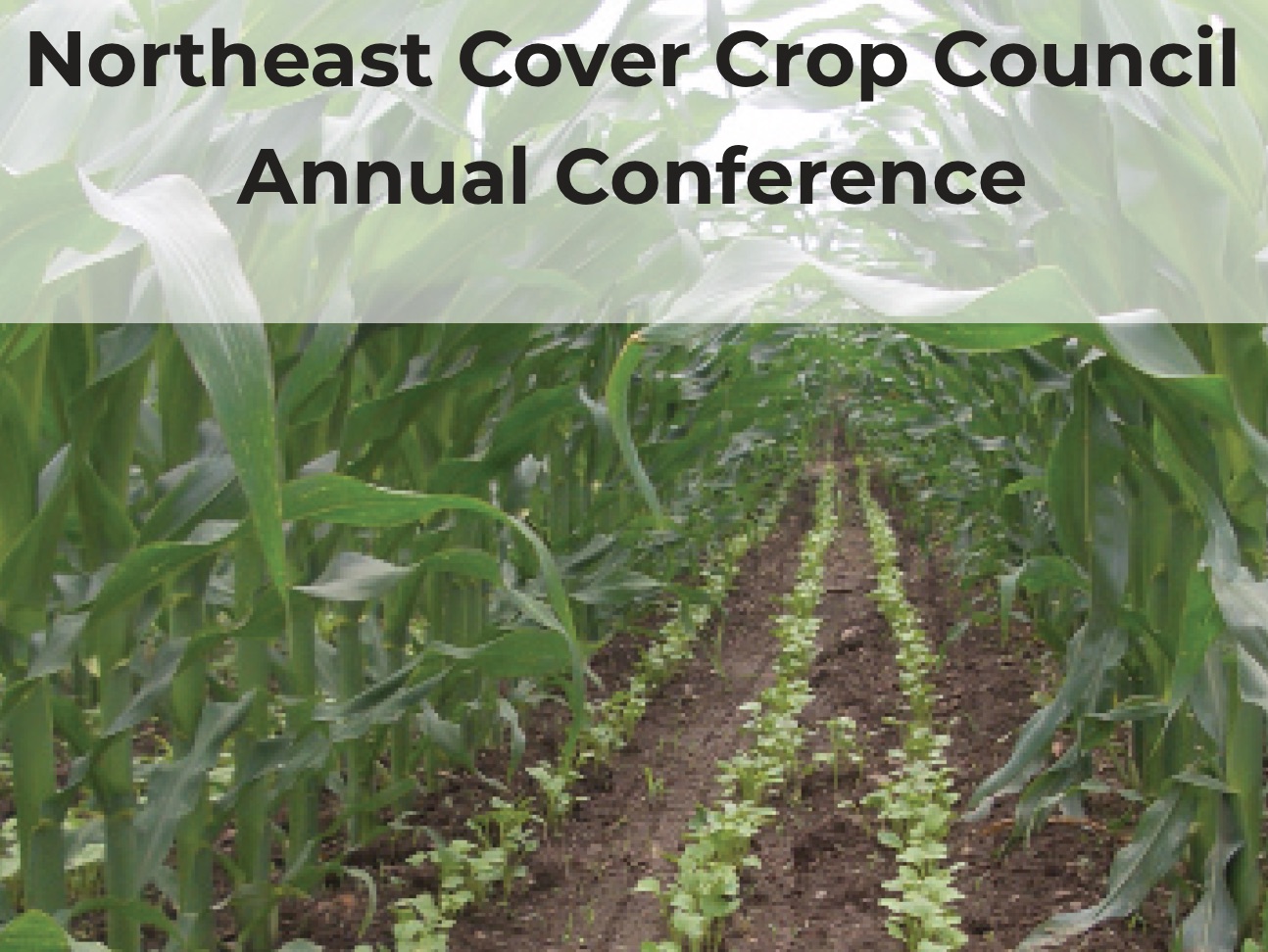 PA Environment Digest Blog: Northeast Cover Crop Council Annual ...