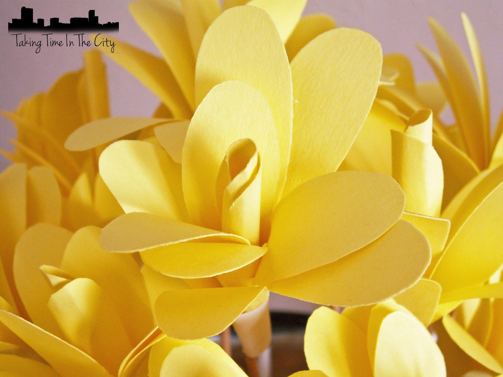 Taking Time In The City: Pretty Paper Flowers {A Tutorial}