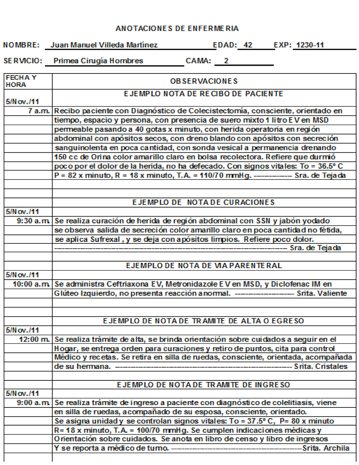 CLASES FUNDAMENTOS DE ENFERMERIA: Notas de Enfermería