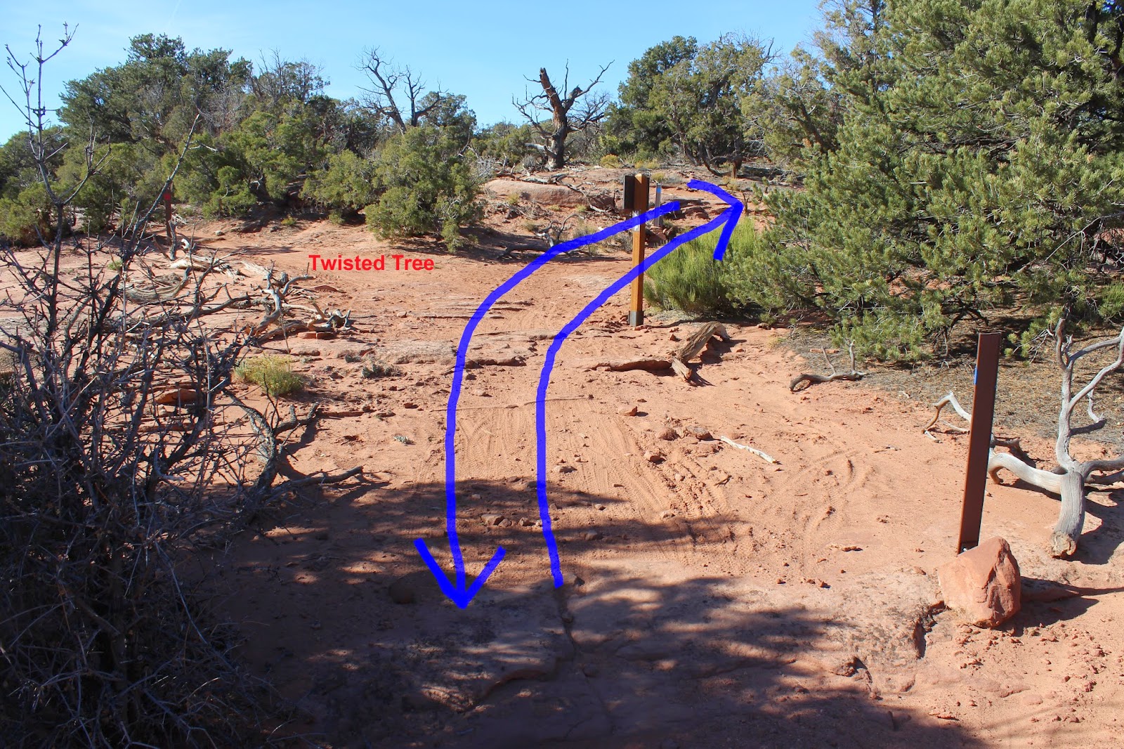 gjhikes.com: Prickly Pair Loop