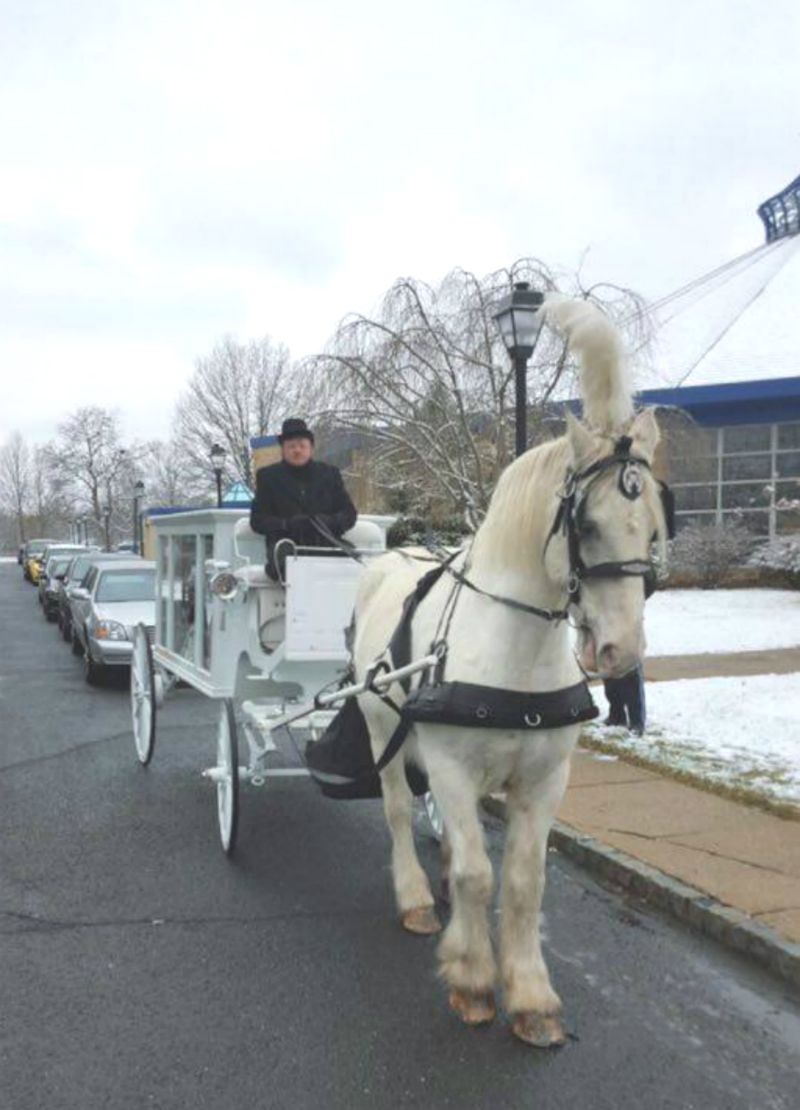 New Jersey Horse Drawn Funeral Carriages Hearses and Caisson: Horse ...