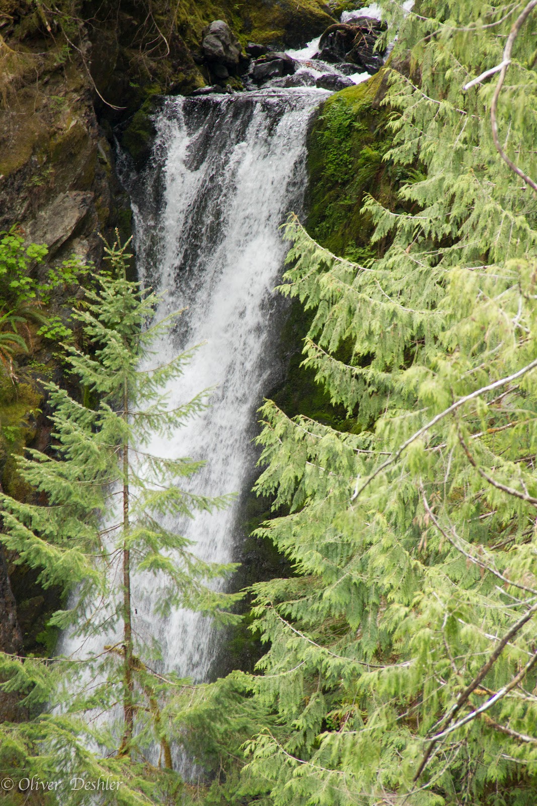 County 5: Graves Creek