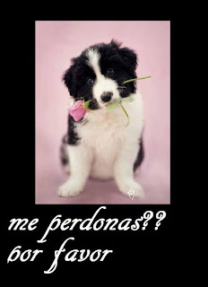 Frases 4U: Me Perdonas? Por Favor