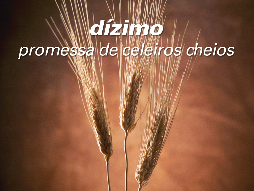 Mensagem Edificante para Alma: "O que diz a Bíblia a respeito do dízimo?"