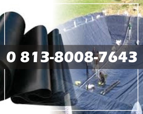 Suplier Triplek Phenol Film