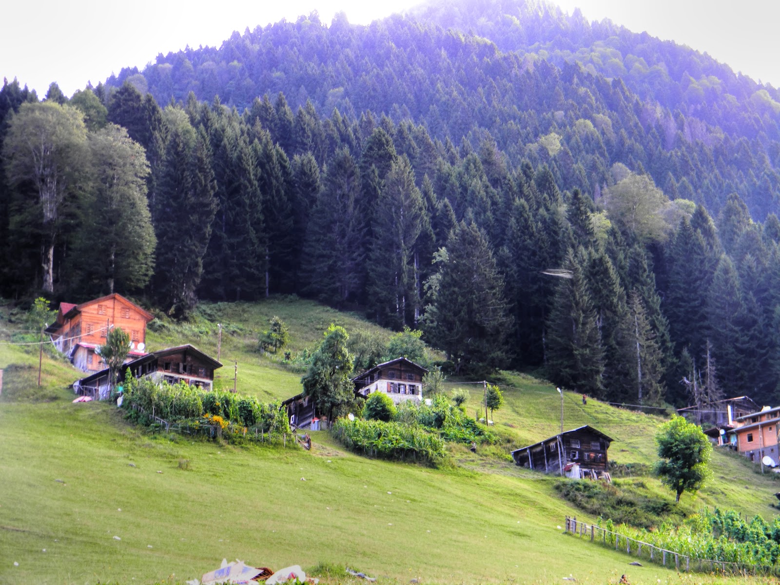 Tourism Life in Turkey: Ayder Yaylası Rize -Doğu Karadeniz 2012