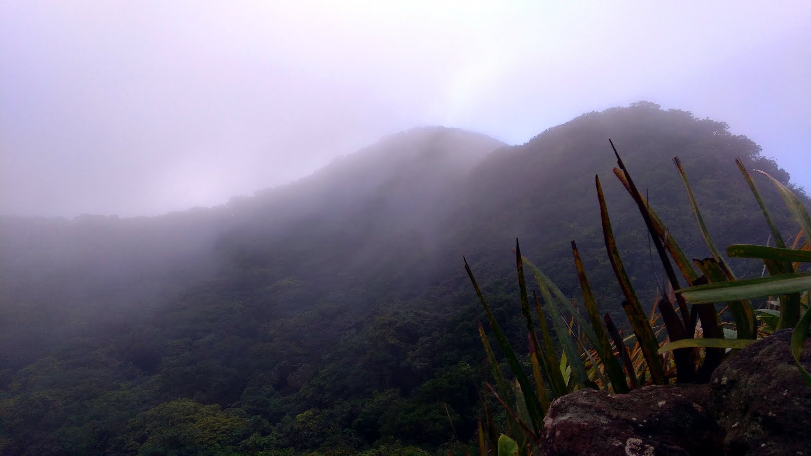 The Novice Trekker: MakTrav - Mt. Makiling Traverse Dayhike (Batangas ...