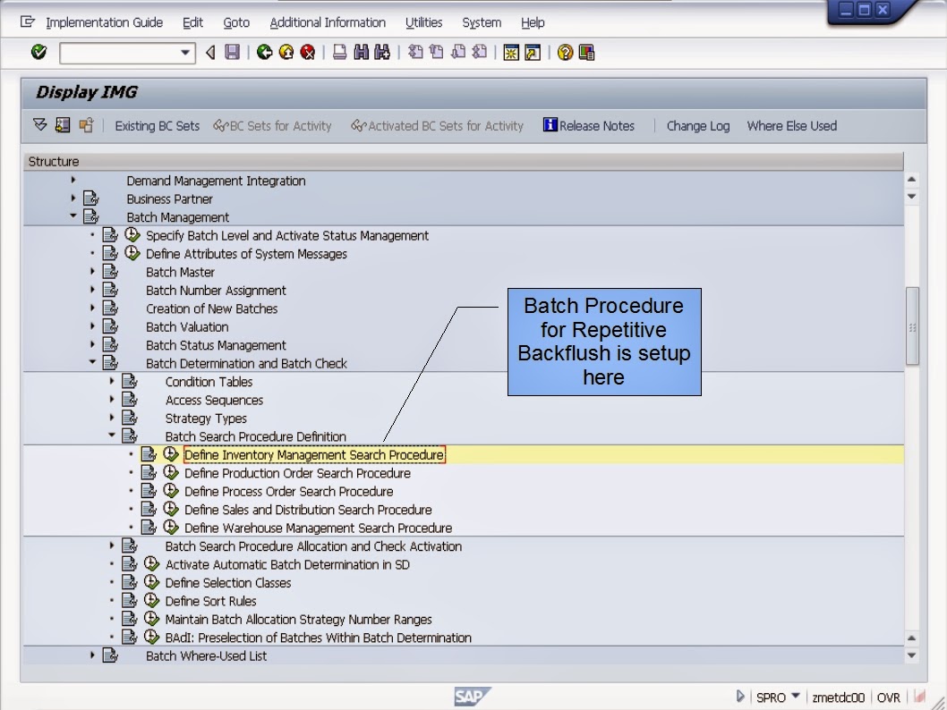 青蛙SAP分享 Froggy's SAP sharing: Batch Determination at REM Backflush for ...