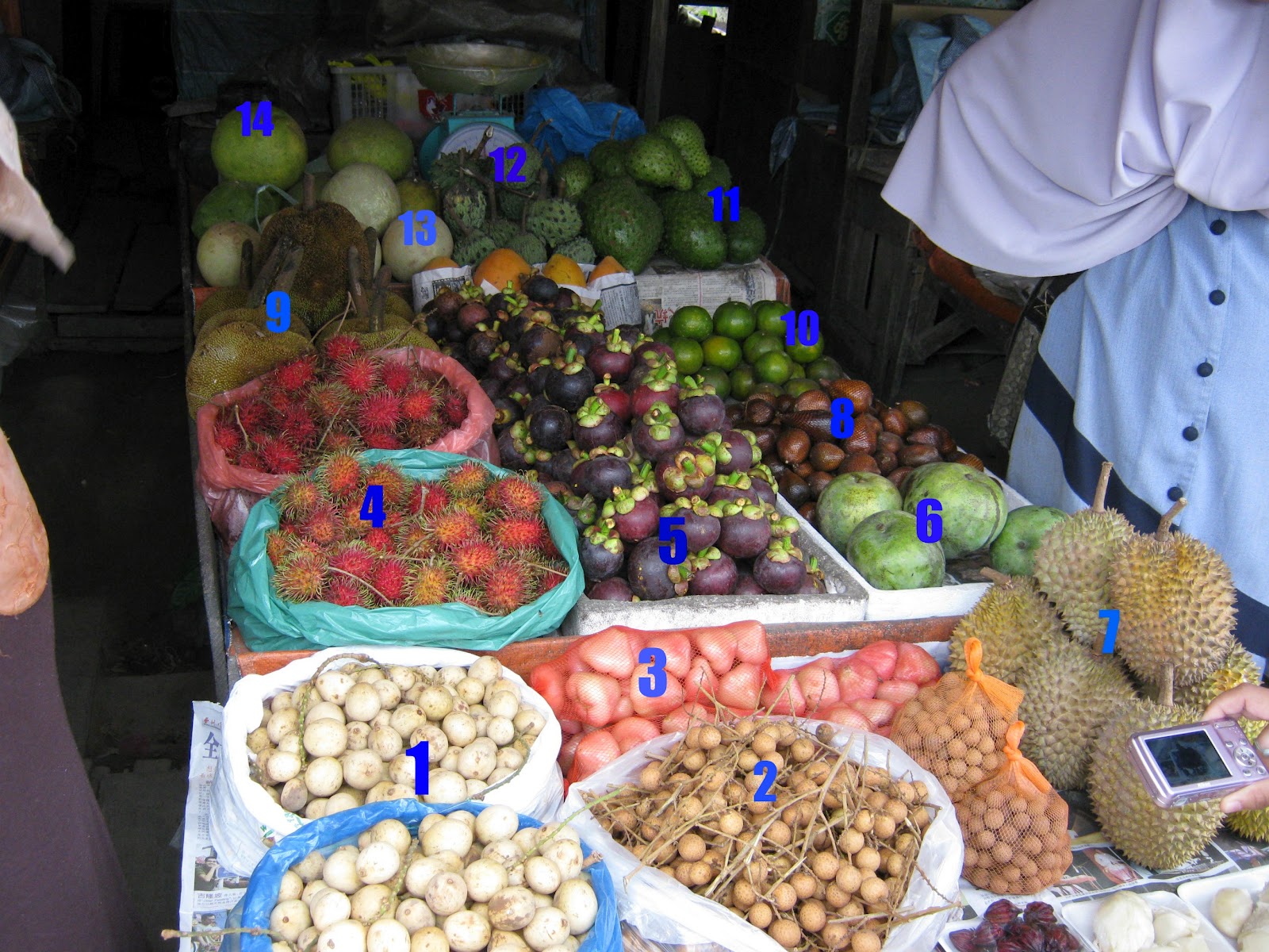 Chitty Boy and Me: Fruits and Vegetables in Kundasang ,Sabah