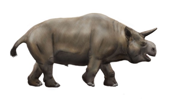 Noticias de Paleontologia: Trigodon gaudryi, un gigante del Plioceno ...