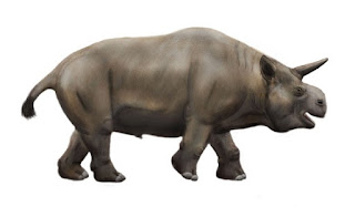 Noticias de Paleontologia: Trigodon gaudryi, un gigante del Plioceno ...