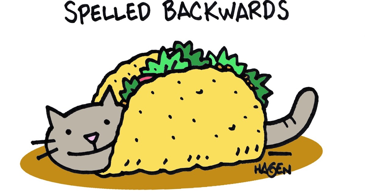 hagen illustration: TACO CAT!!