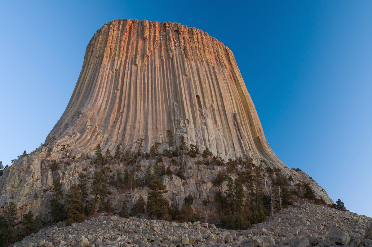 A Tree Falling: Devils Tower