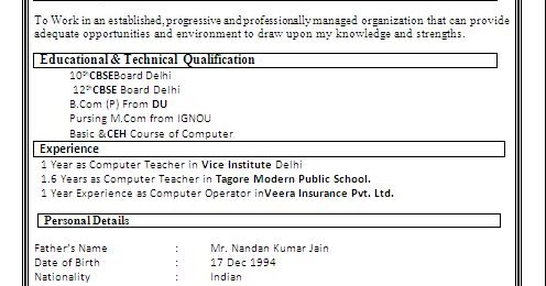 Basic Computer Teacher Resume Format in Word Format