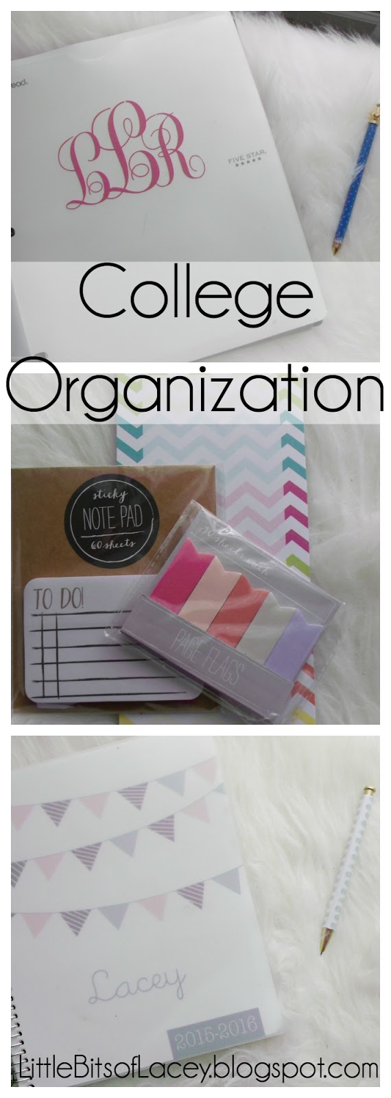 Little Bits of Lacey: College Organization