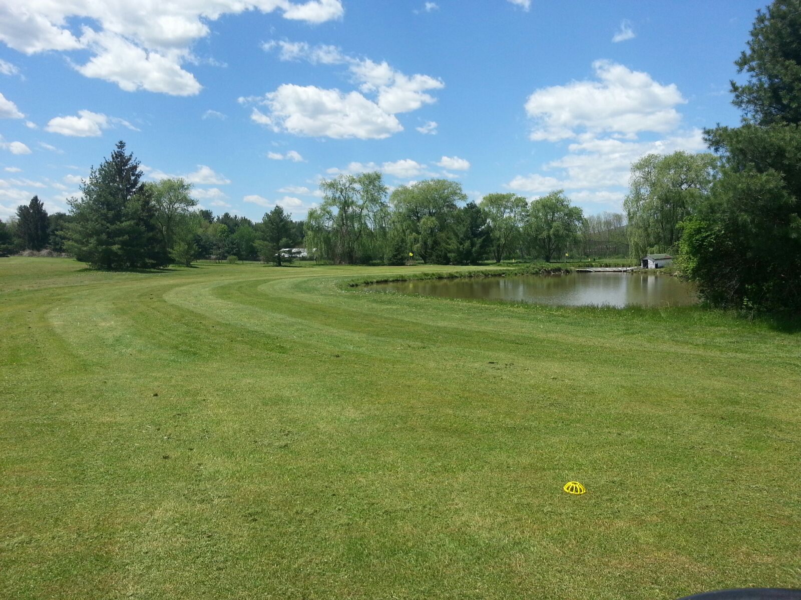 DJ's Golf Center / Bethies Place: Course
