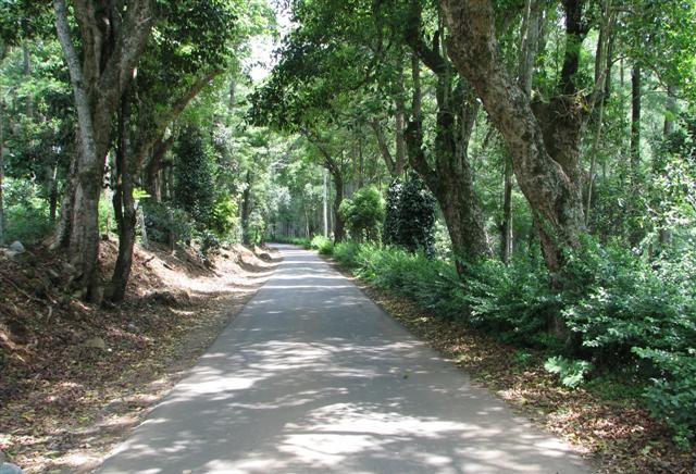 Tamilnadu Tourism: 32-Km Loop Road, Yercaud