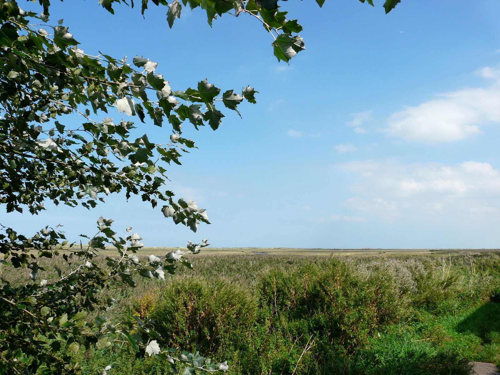 Cindy's Snaps: Brancaster and Branodunum Roman Fort....