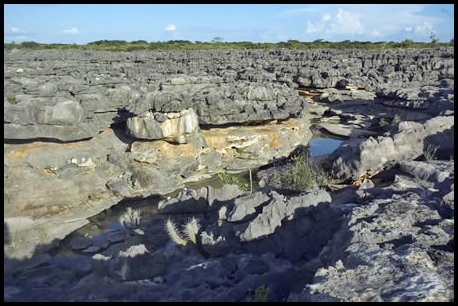 Blog Jaldesmar Costa: CIDADE DE APODI - RN