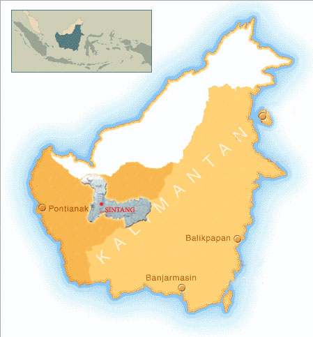 Touch the sky: Apr 18, 2011