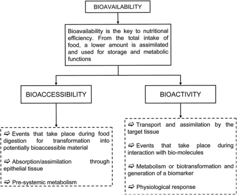 Food Waste Recovery: What is the Difference Between Bioavailability ...