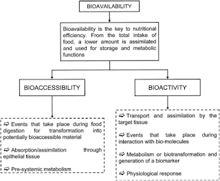 Food Waste Recovery: What is the Difference Between Bioavailability ...
