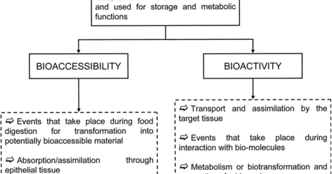 Food Waste Recovery: What is the Difference Between Bioavailability ...