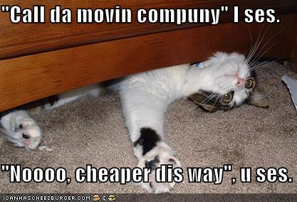 1000+ images about Funny Moving on Pinterest | Moving companies, Moving ...