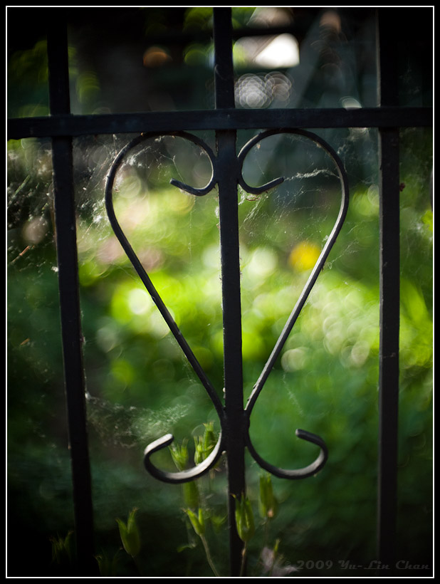 Lens Bubbles: More JML 25mm f0.95 Pictures