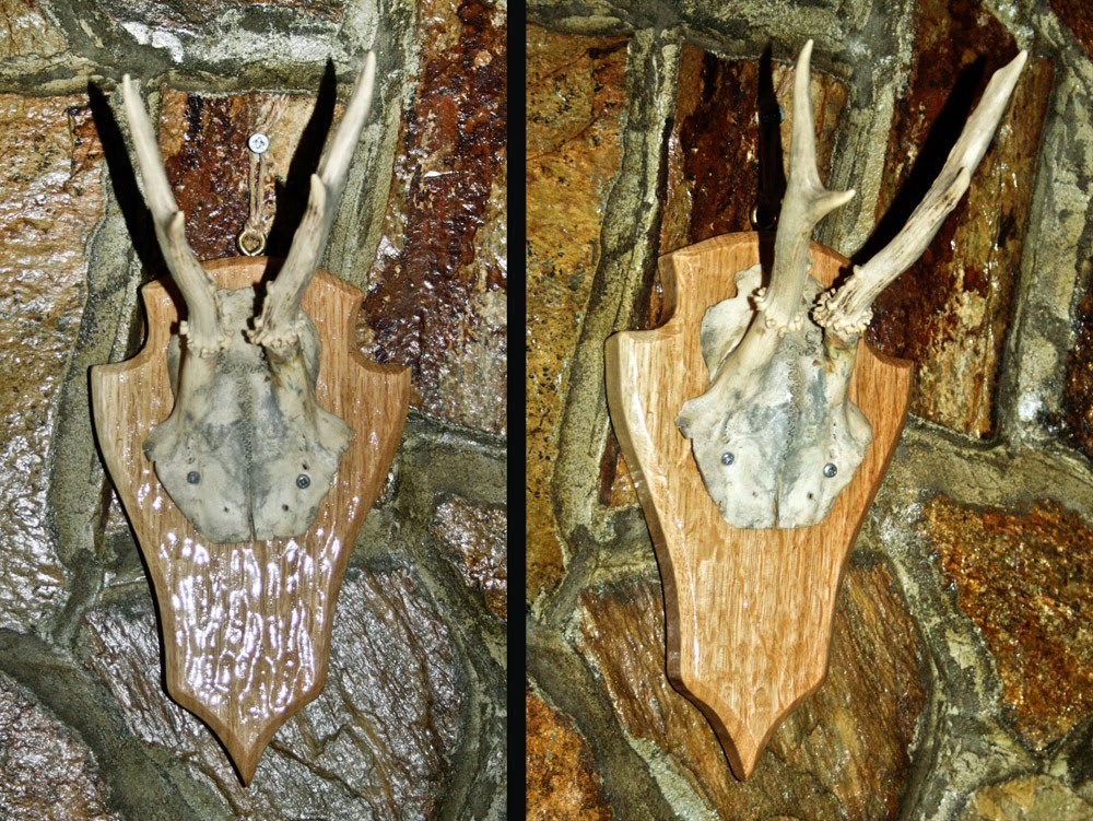 panoplii de vanatoare: trofee de vanatoare, coarne