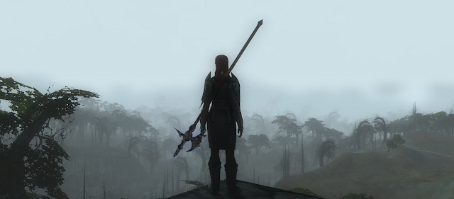 Ravalation: LOTRO: Elf captain of Mirkwood