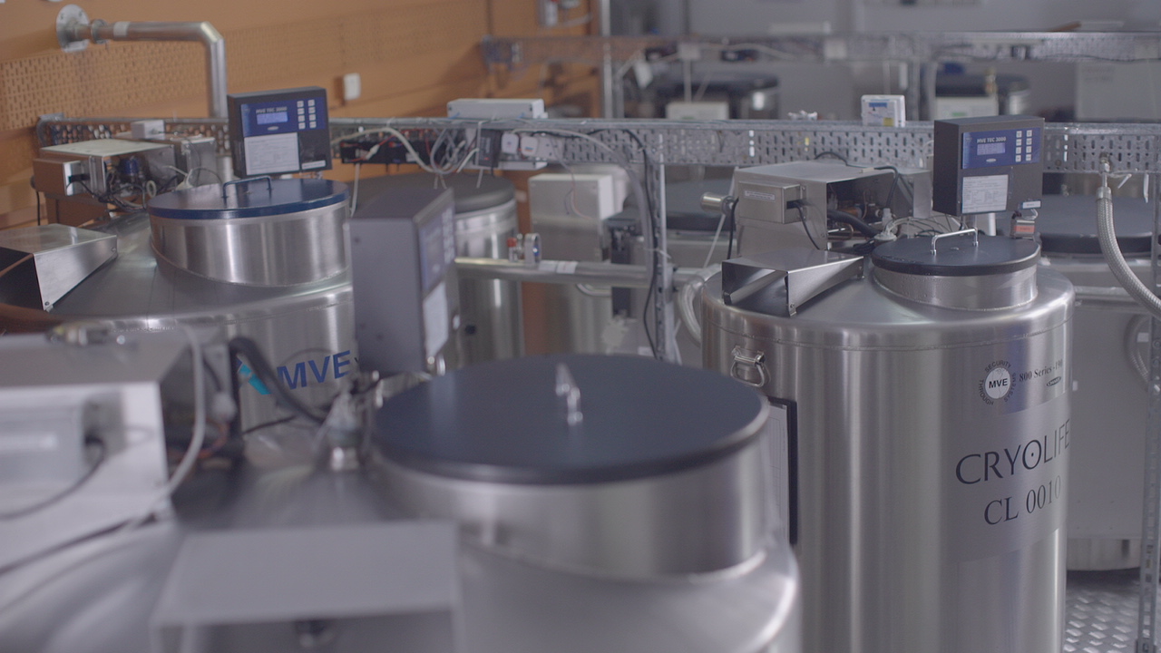 【孕媽分享】重要的臍帶血儲存服務！我鎖定 CRYOLIFE！ - Miss Stella