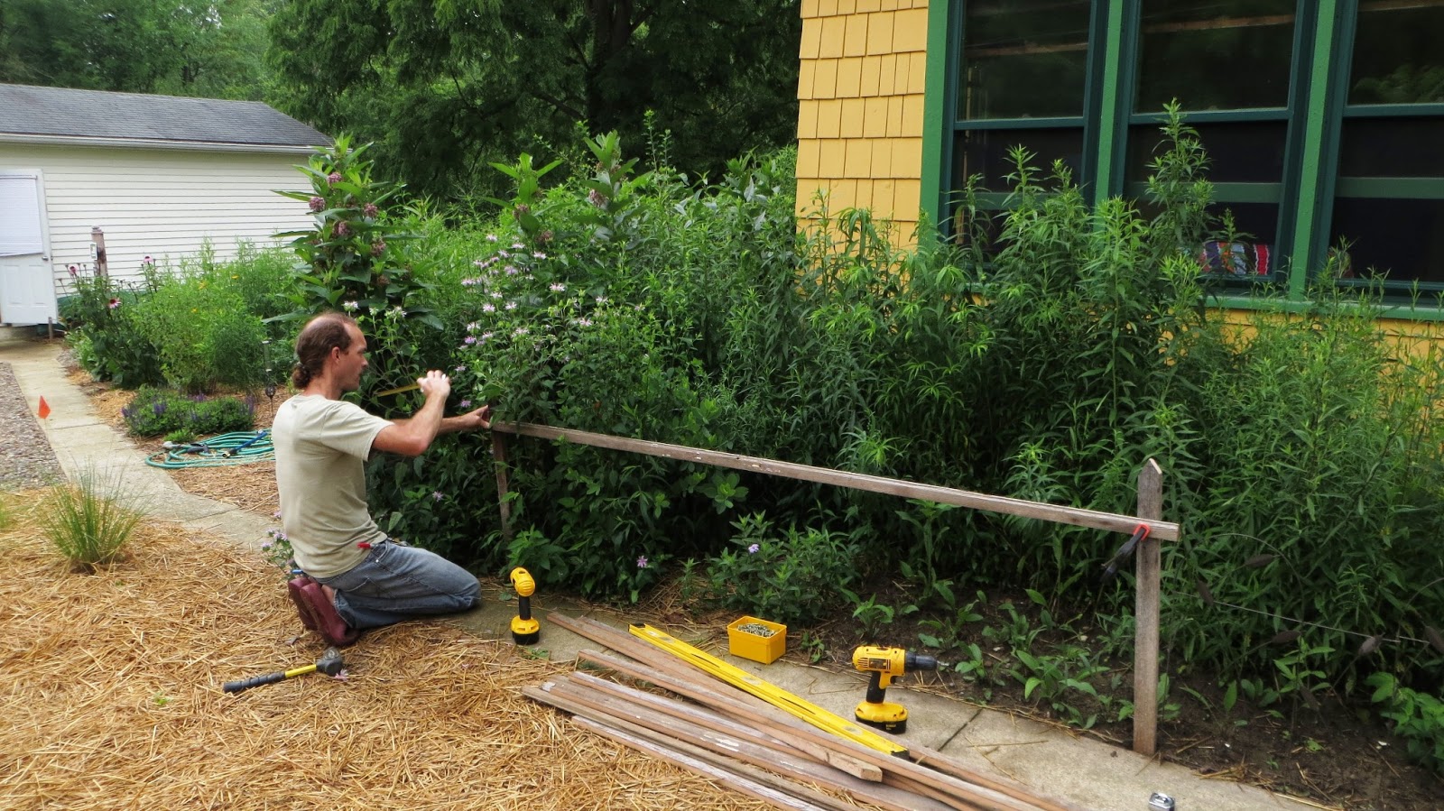 the common milkweed: Tree Cookie Path and Scrap-Wood Fence