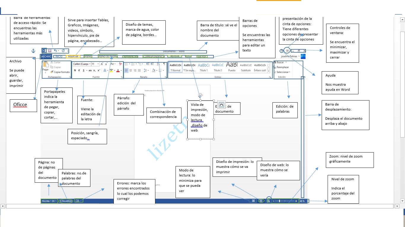 INFORMATICA: partes de word