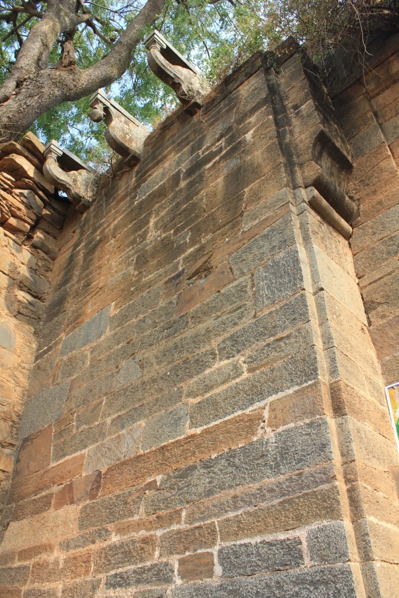 Journeys across Karnataka: Savanur: fort ruins and Baobab trees