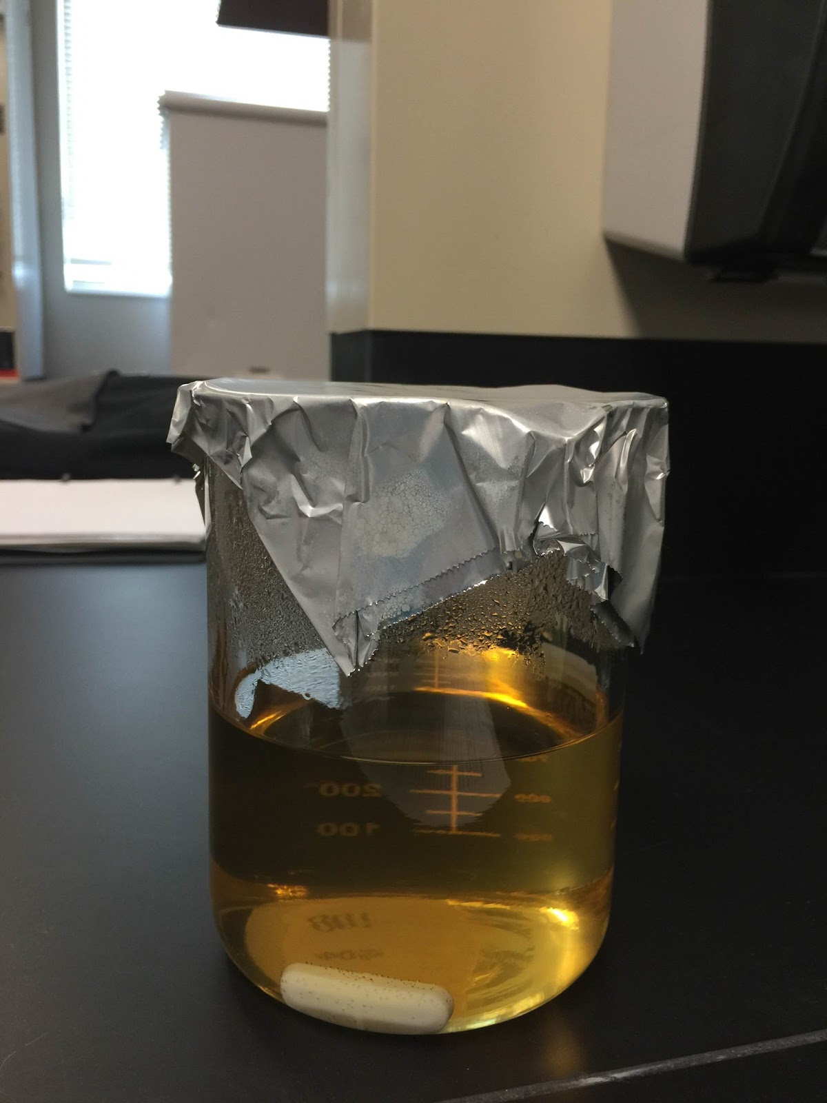 Lab 2: Media Prep and Autoclave, Plate Pouring