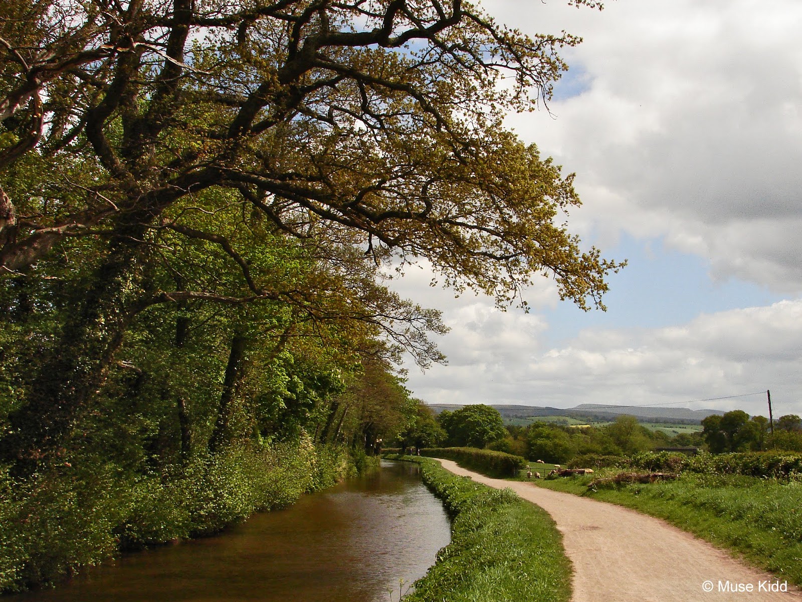 bike wales gallery - ARCHIVE: 2018 - JUNE Taff Trail to Brecon pt.2