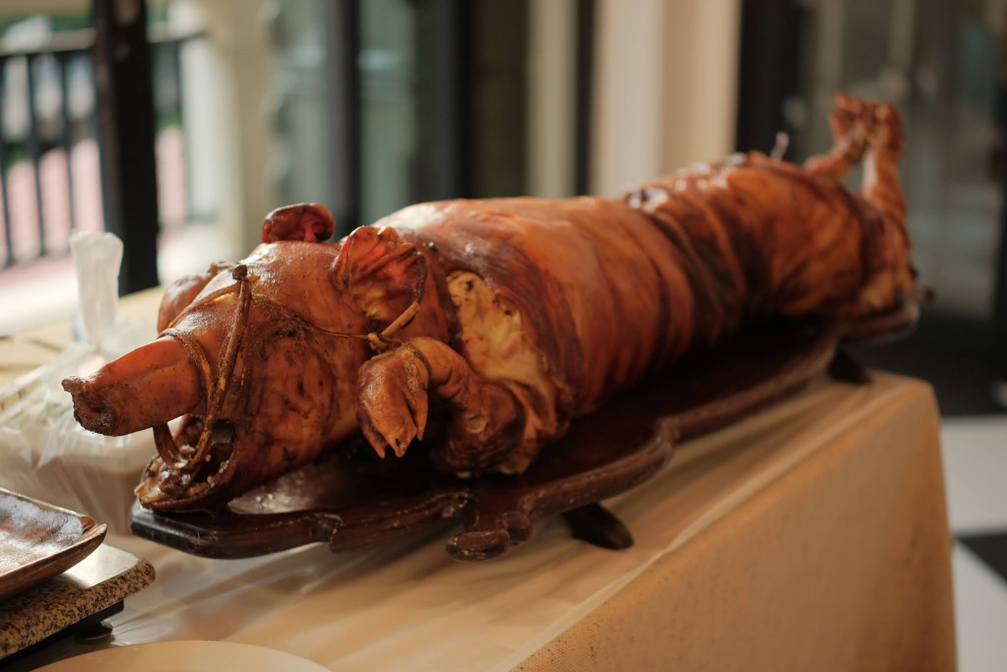 Konted's Make My Day 2: The Succulent Native Lechon