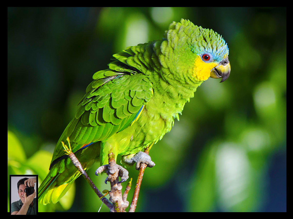 MY WORKS: MARITACA... from my window series