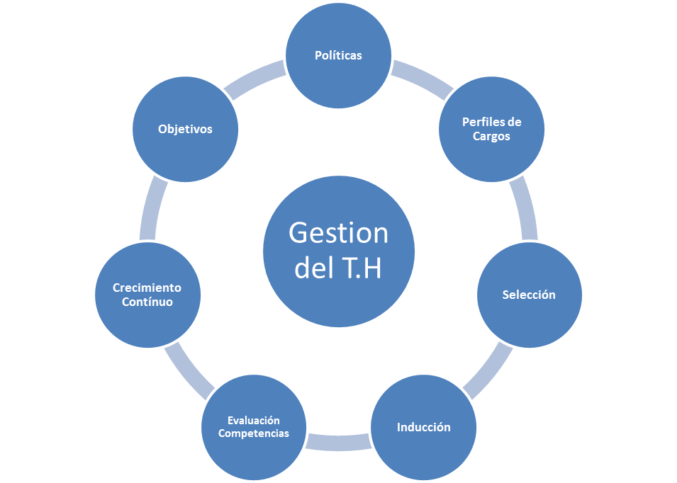 ¿Qué es la gestión del talento humano? (Administración de empresas)
