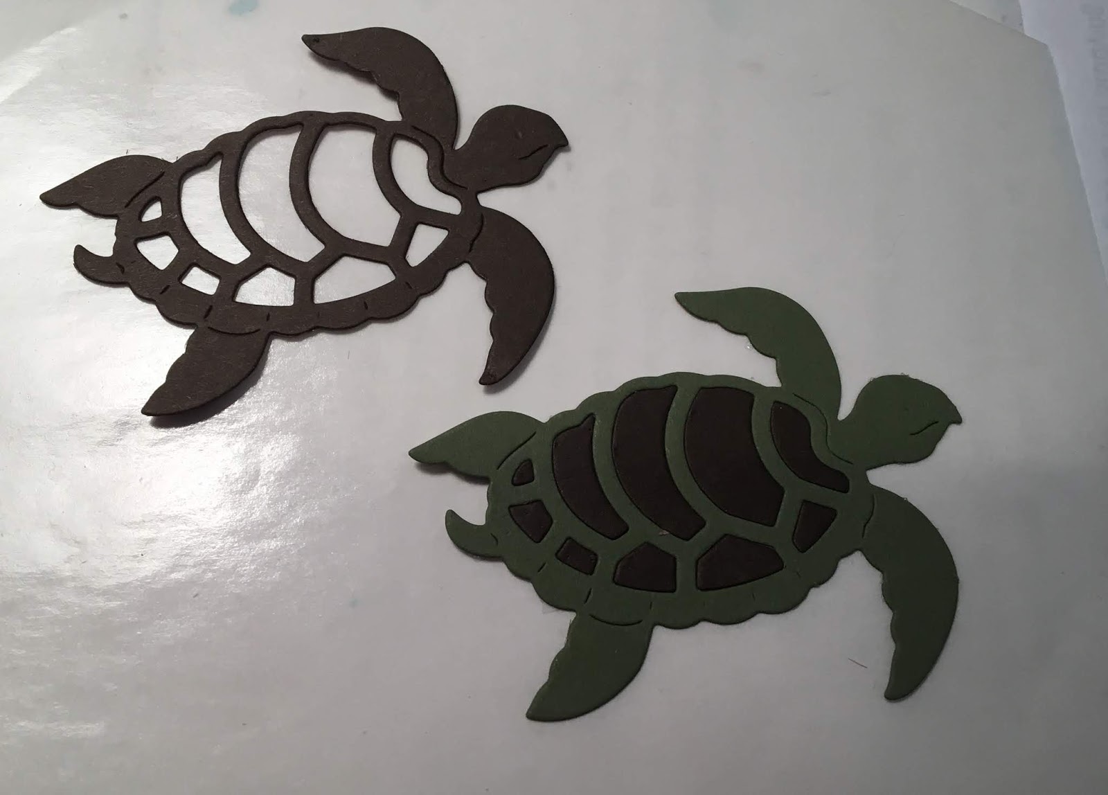 CottageBLOG: Sea Turtles!
