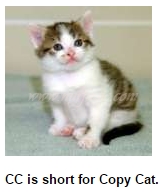 CC Kucing Pertama Di Klonkan