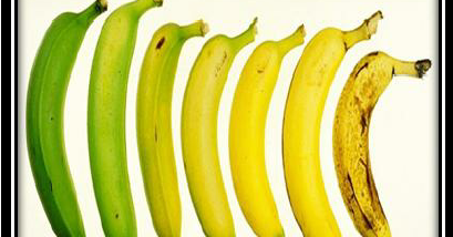Fruit For The Office: The life-cycle of a banana