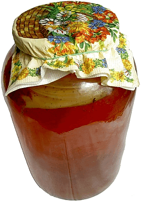 Tibetský vodný kefír,Čínska huba kombucha, tibetský mliečny kefír ...