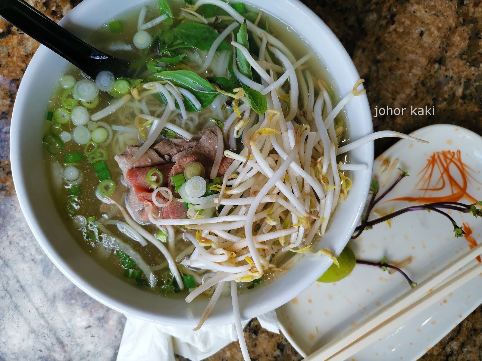 Golden Turtle Vietnamese Restaurant Toronto's Most Famous Pho |Tony ...