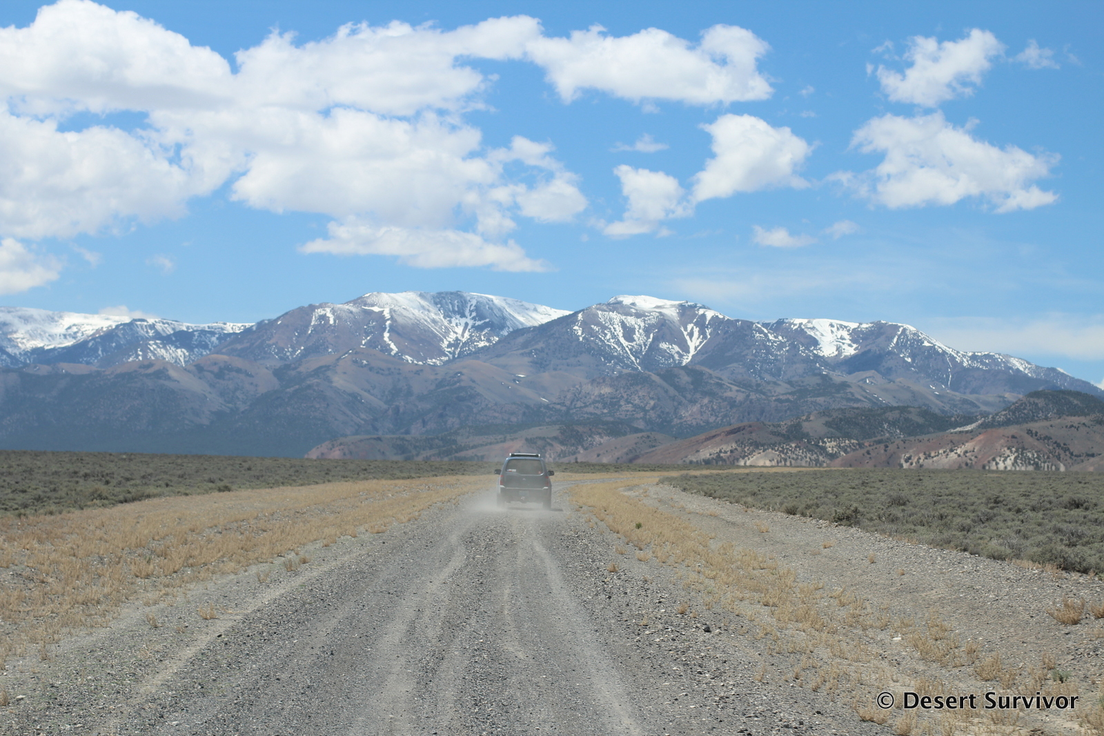 Desert Survivor: Camping in the Toquima Range