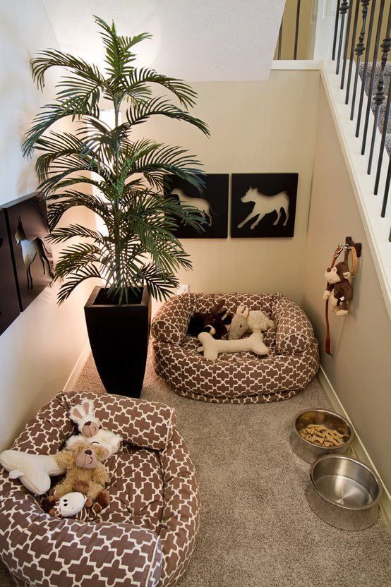 How To Design A Space for Your Dog - The Loudon Pet Sitting Company