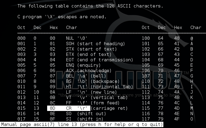 Minishare 141 Bufferoverflow