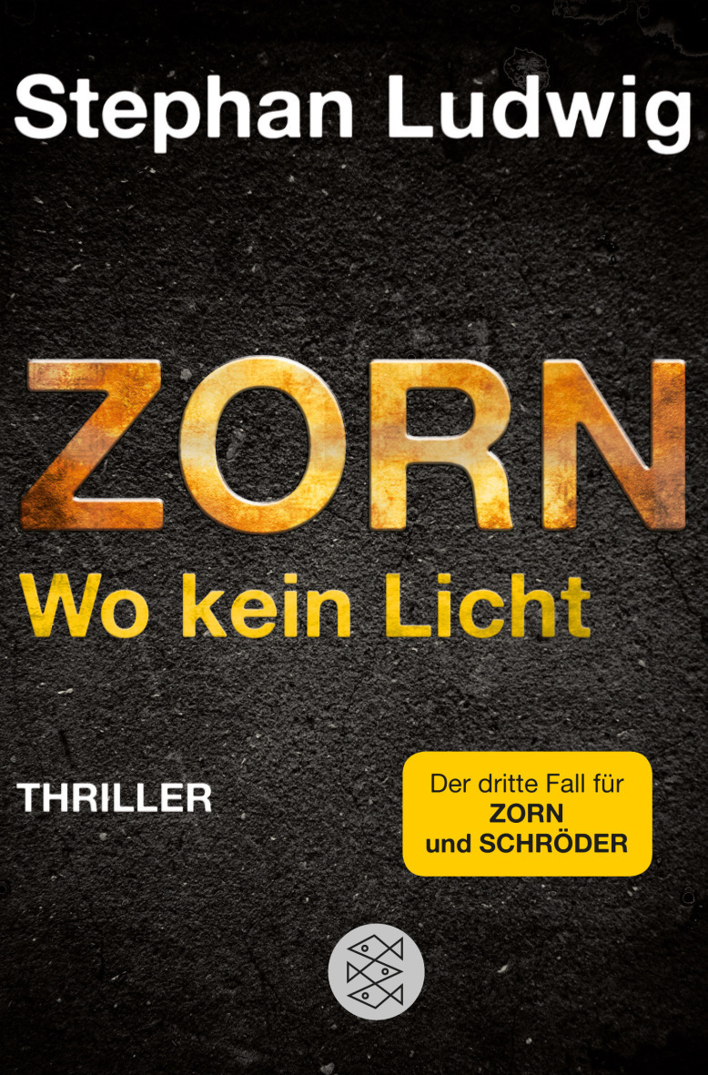 Maxibienes Bücherregal: # 118 # Stephan Ludwig: Zorn - Wo kein Licht