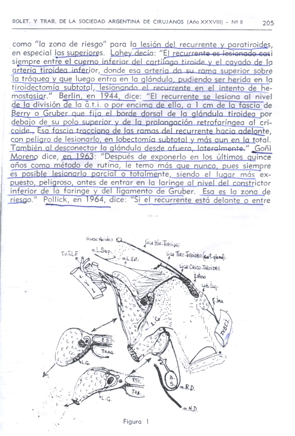 Cuadernos de Anatomía Quirúrgica: Técnica y táctica personal de la ...